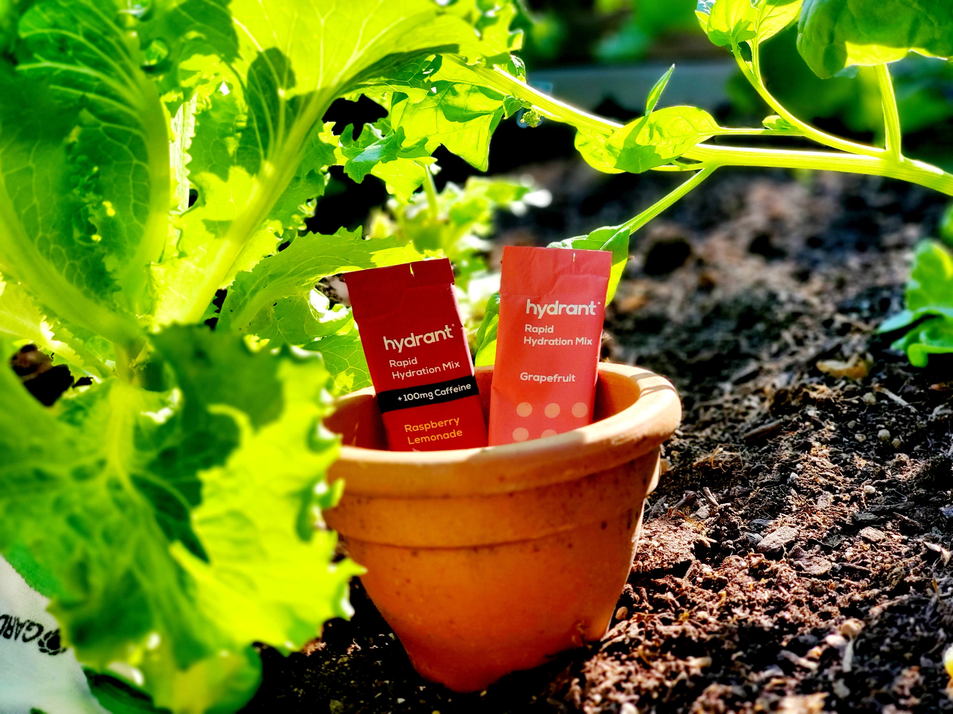 Gardening and Dehydration: How to Stay Hydrated – Hydrant
