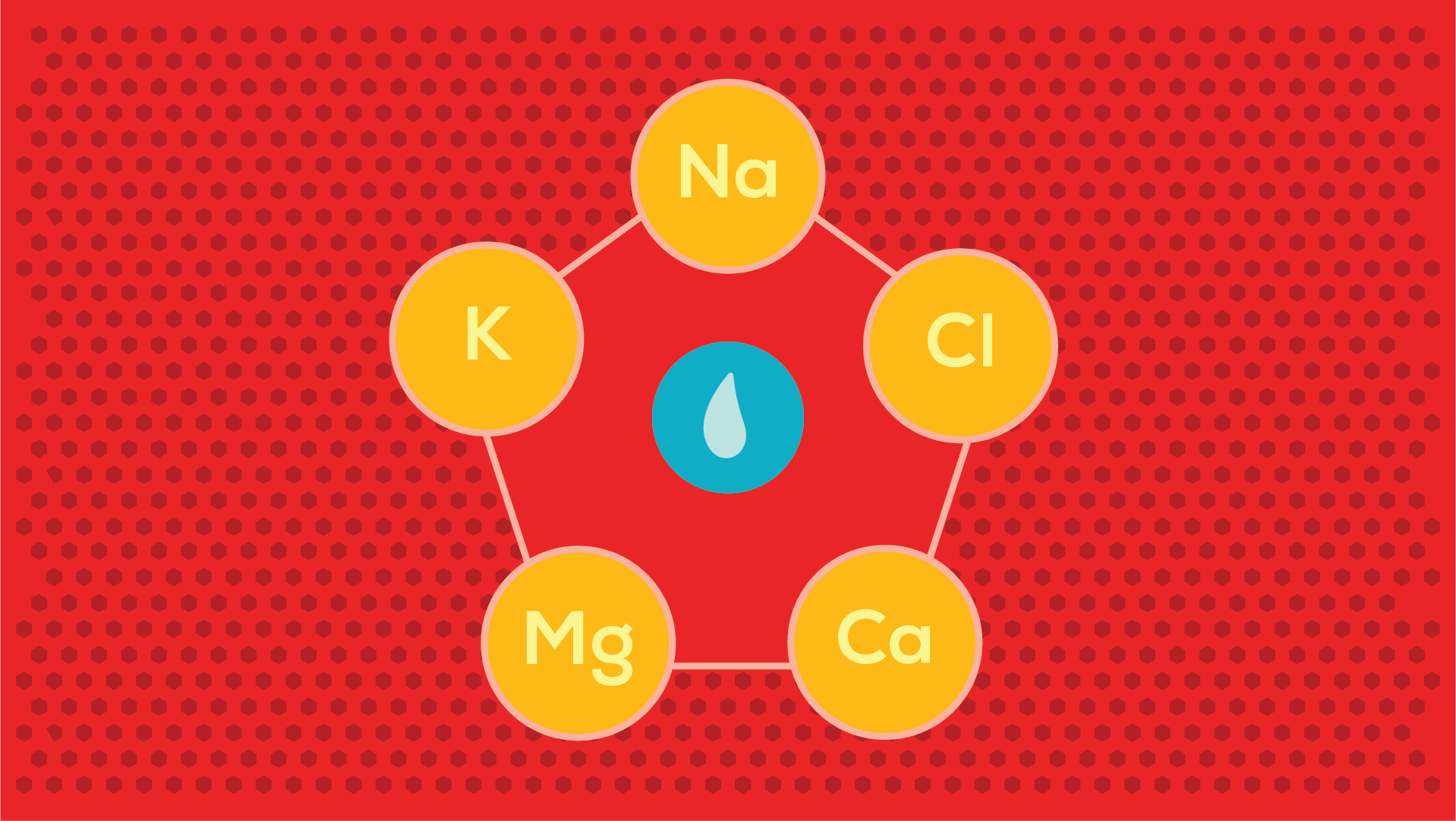What Are Electrolytes? And How Do You Get Electrolytes? – Hydrant